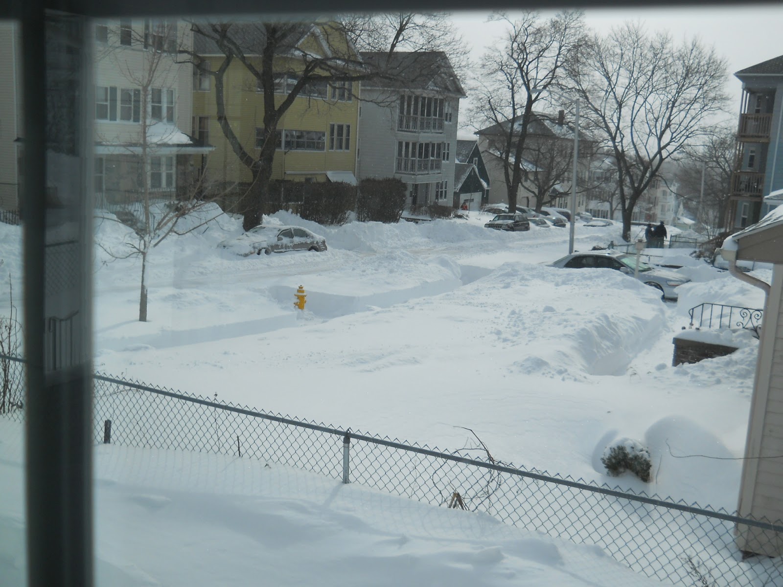 Adventure on Planet Earth: Blizzard Nemo (2)