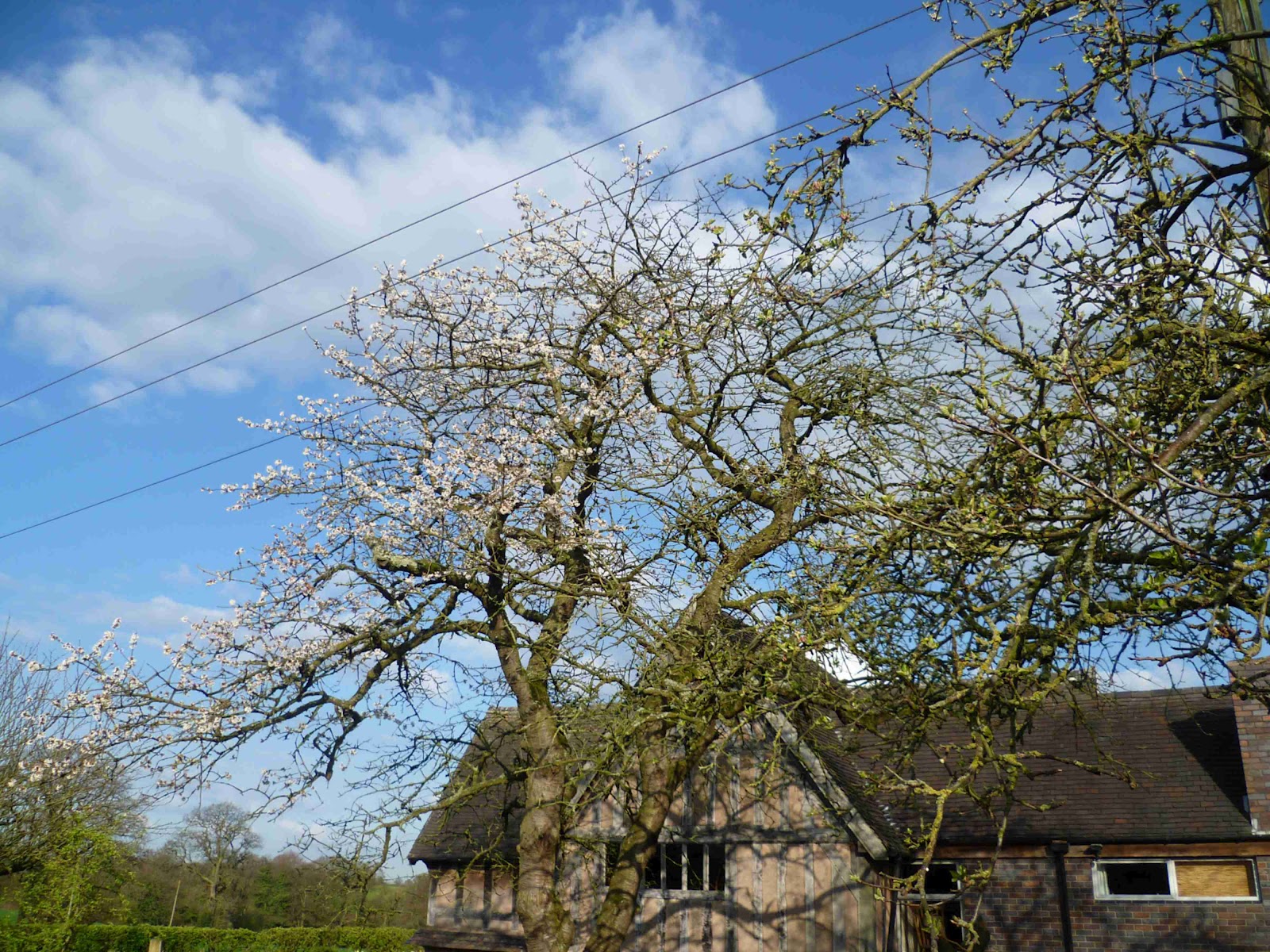 The Blackden Trust: 2012