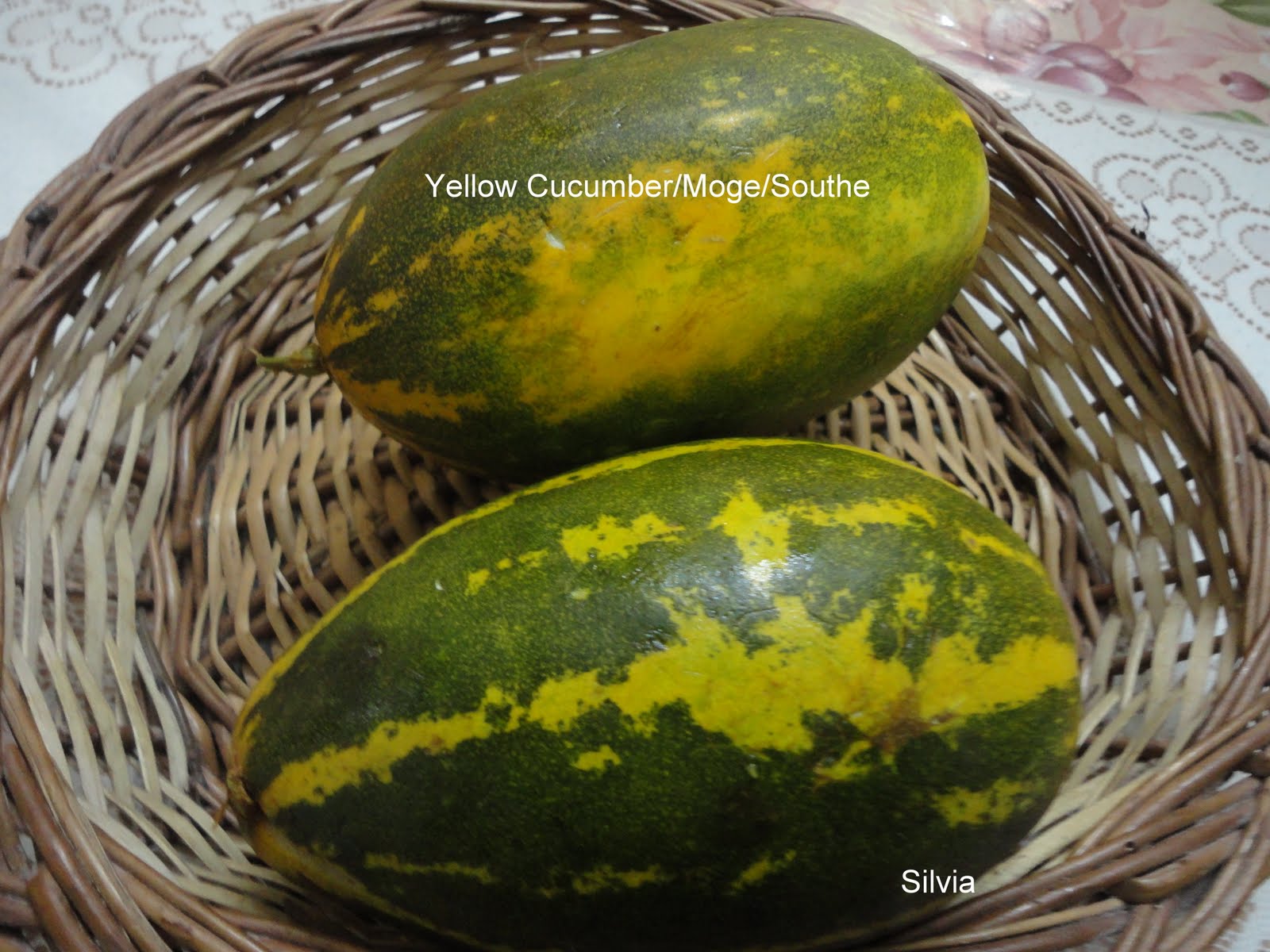 A BLEND OF CUISINE: YELLOW CUCUMBER / MOGE OR SOUTHE CHUTNEY