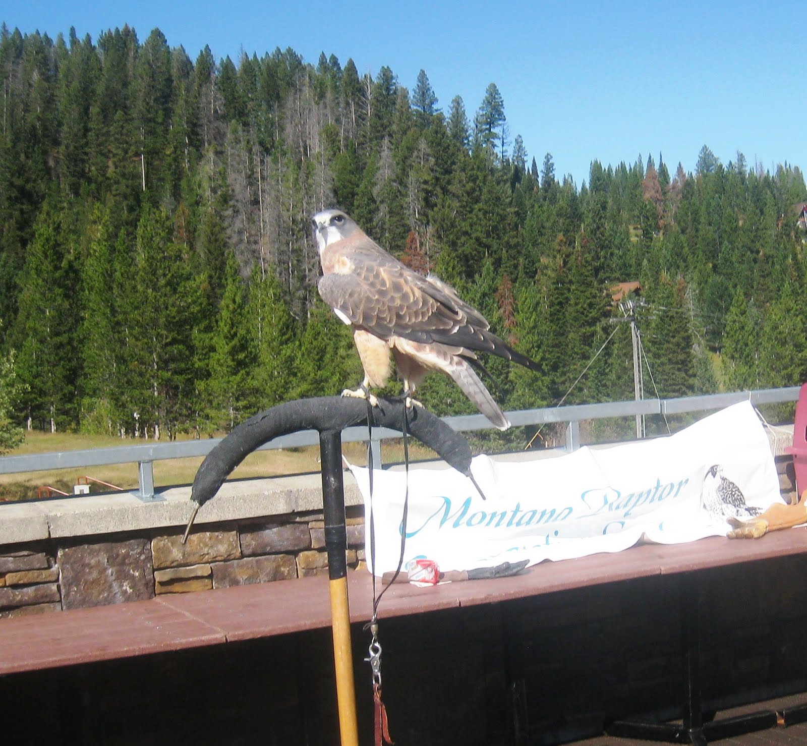 Achieve Your Fitness Goals