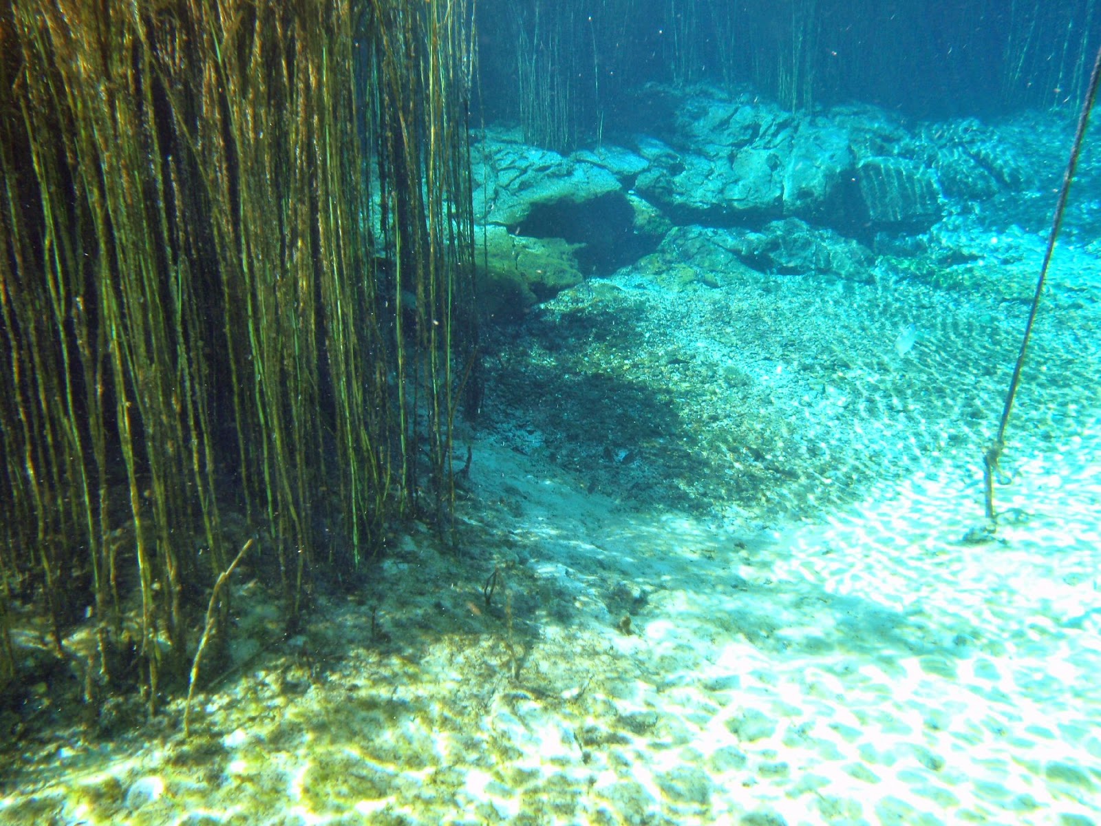 PenobscotPaddles: Rainbow River K.P. Hole to Rainbow Springs State Park