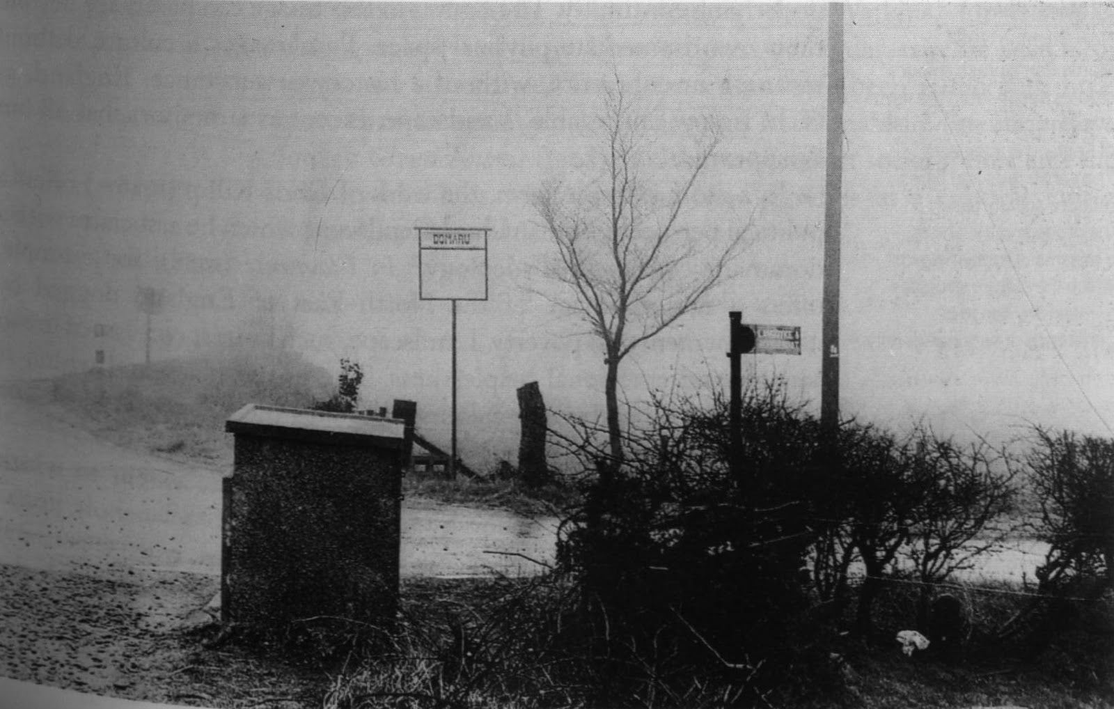 Lyssa humana: Photographer: Raymond Moore