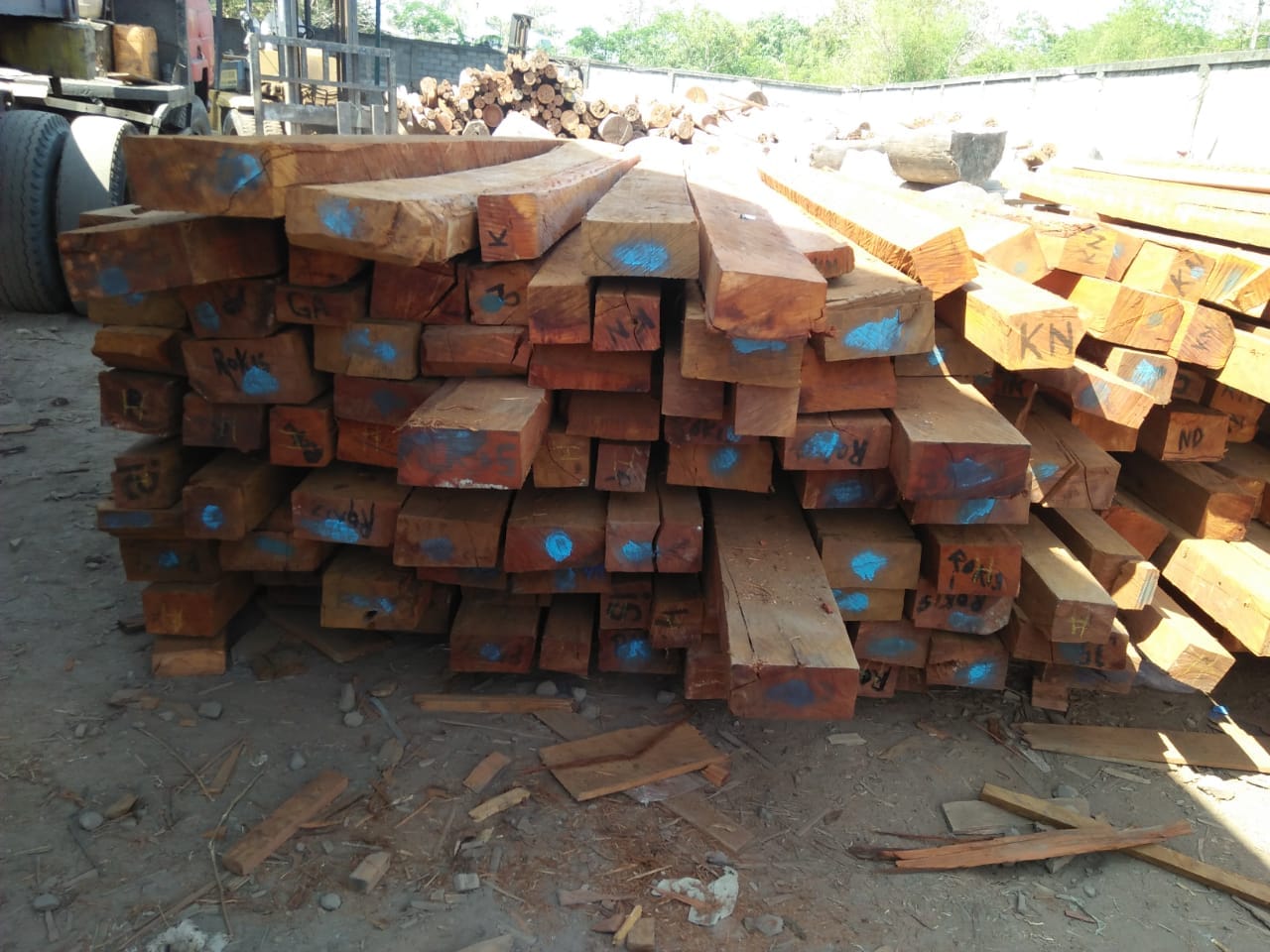 081387245587 Agen Jual Lantai kayu Decking Murah di Jakarta: Sedia Stok ...