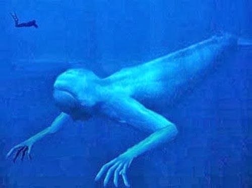 Giant Humanoid Creatures Sighted in Antarctic Waters [pics / video ...