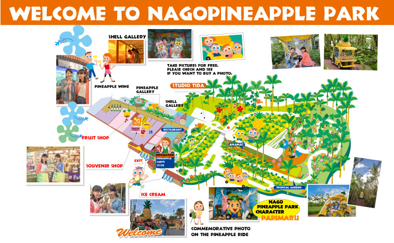 Nago Pineapple Park - Okinawa, Japan