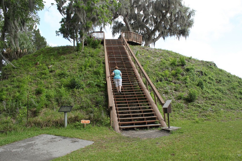 Til the Last Hemlock Dies: Saved From Certain Destruction