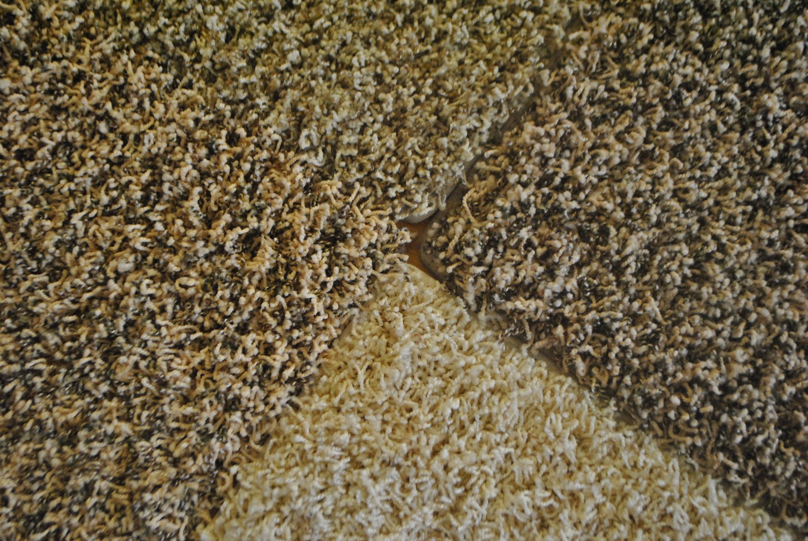 A Scoop of Sherbert: large area rug DIY for under $30