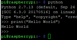 Raspberry Pi(Web 환경 원격 제어): python-startup