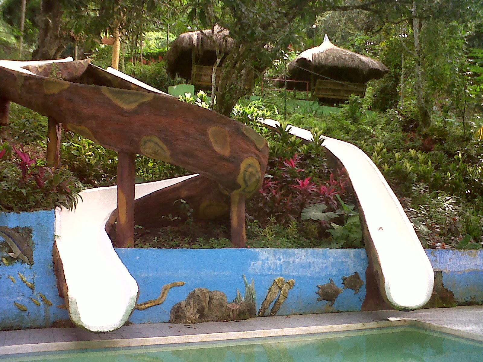 AN ESCAPE: LANIPAO RAINFOREST RESORT