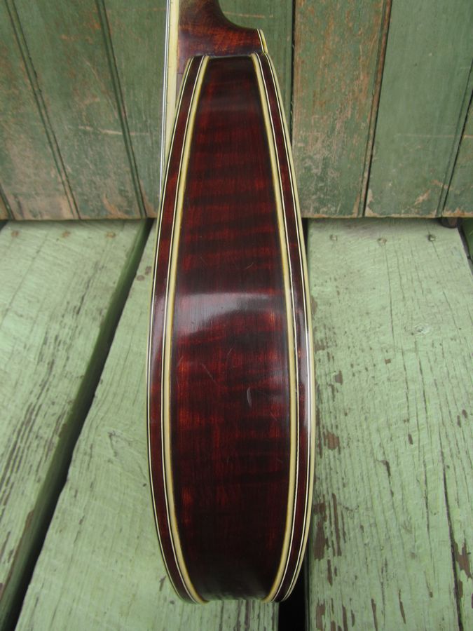 c.1915 Weymann Style 50 Mandolute Mandolin