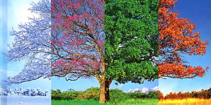 Les quatre estacions.Relats i opinió - Pep Cassany