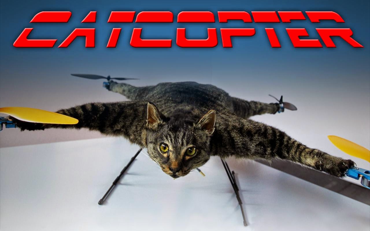 Vídeo: O polêmico "Gato Helicóptero" (CatCopter) - Blog Sequelanet
