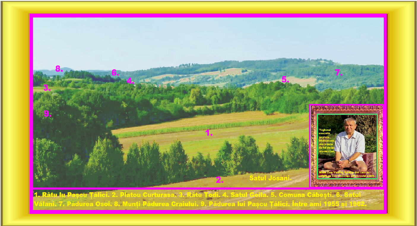 Vasile Ivașca. Yoga Marilor Zeii. Boli și blocaje ale corpului ...