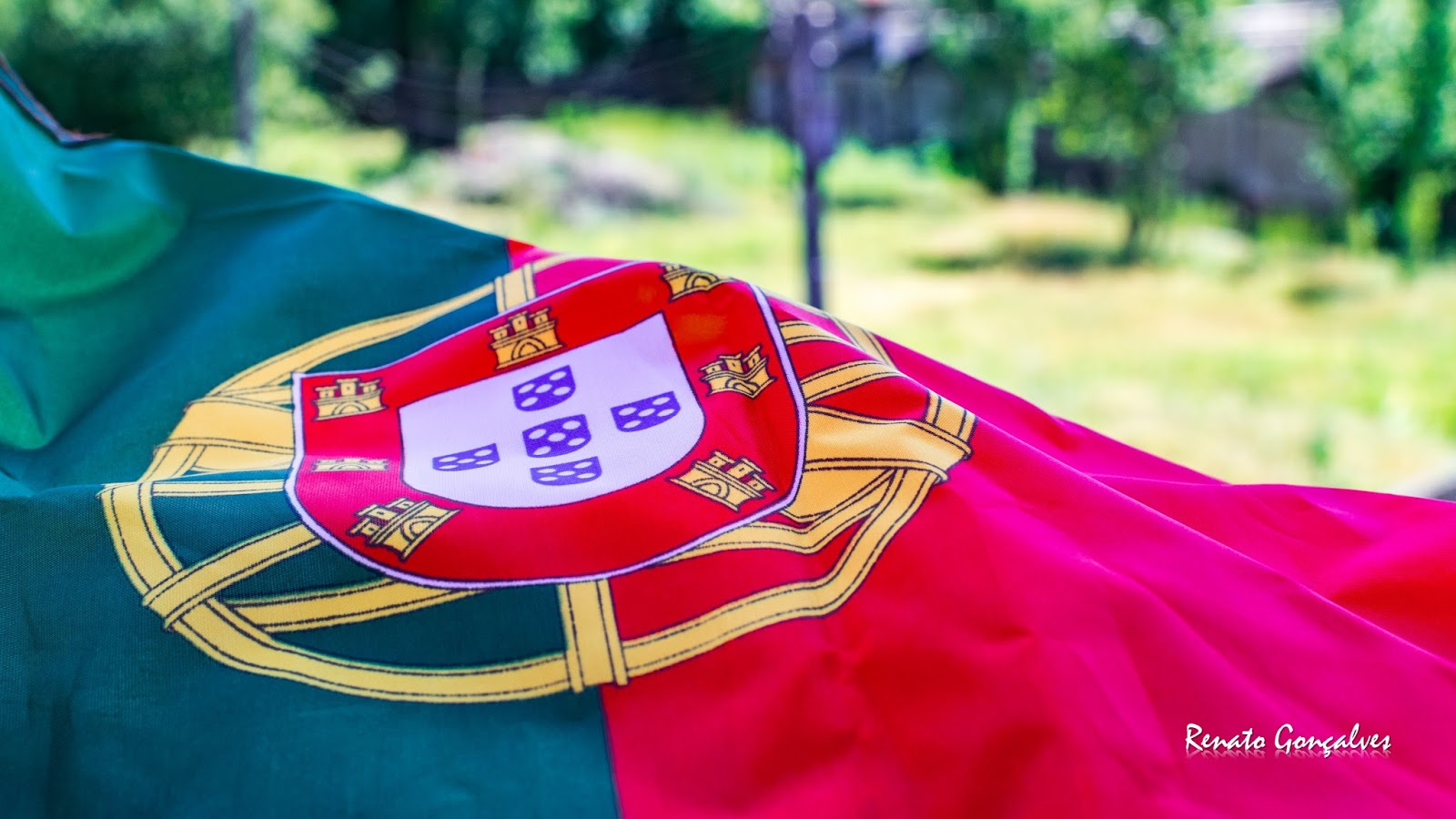 Renato Gonçalves Photos: Força Portugal!!