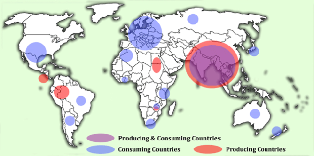 welcome to our jute planet
