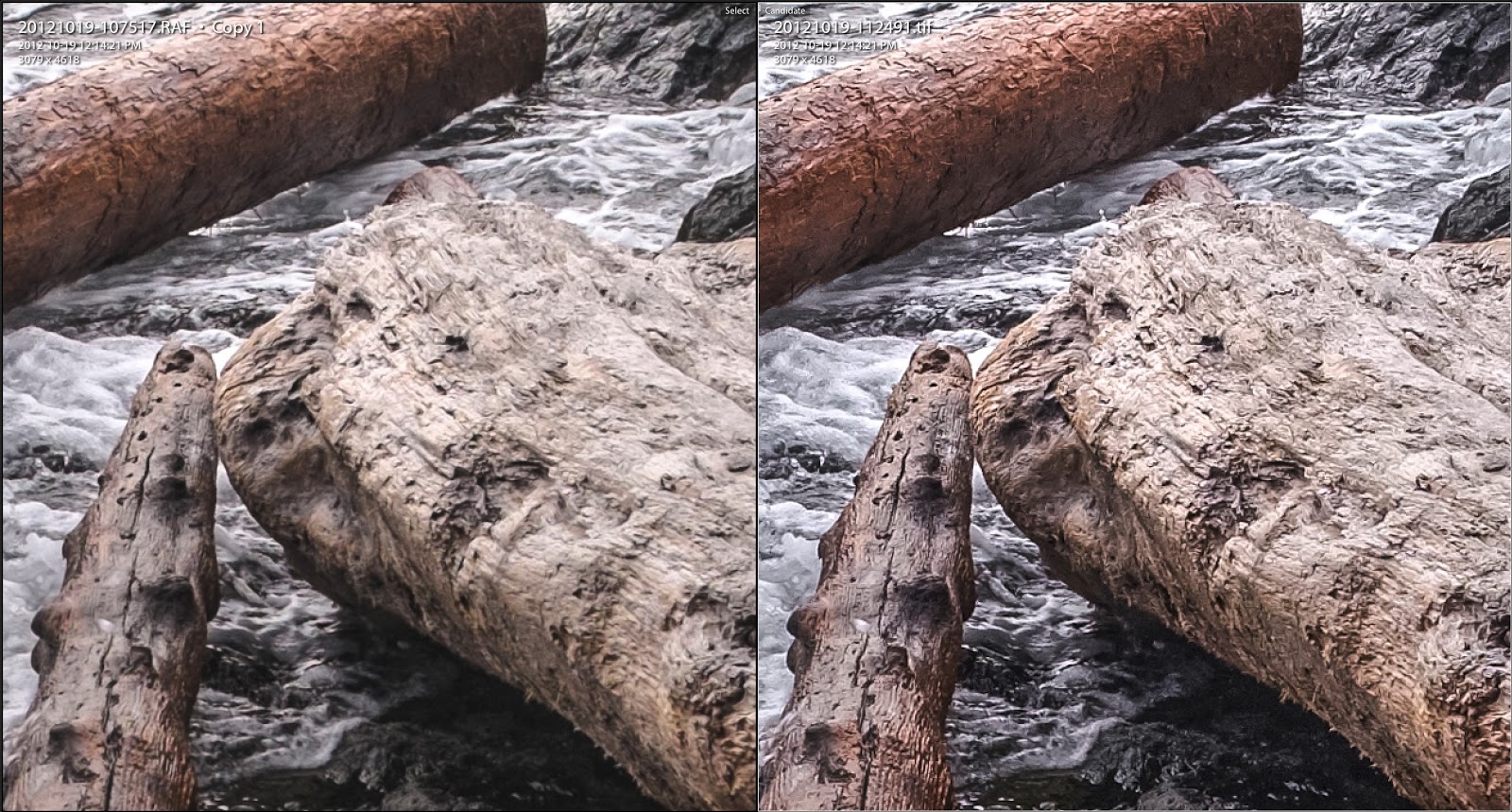 Lightroom 4.4RC with new improved X-Trans Sensor Support