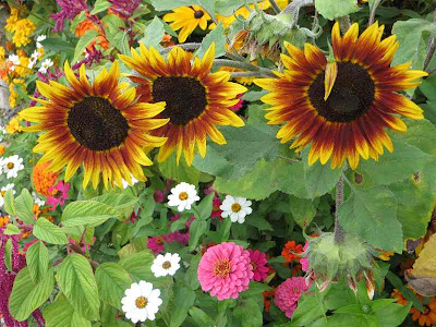 Alaska 2013: Alaska Day 72 - 73 Fairbanks to Chena Hot Springs