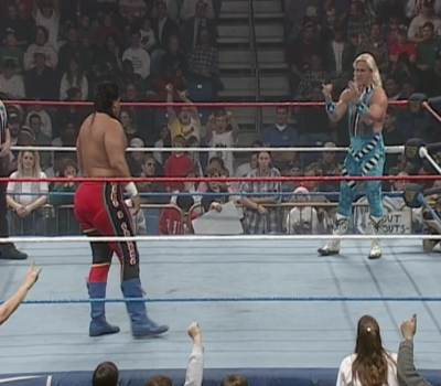 Retro Oasis: A Taste of the New Generation: Boyhood Dreams: WWF Monday ...