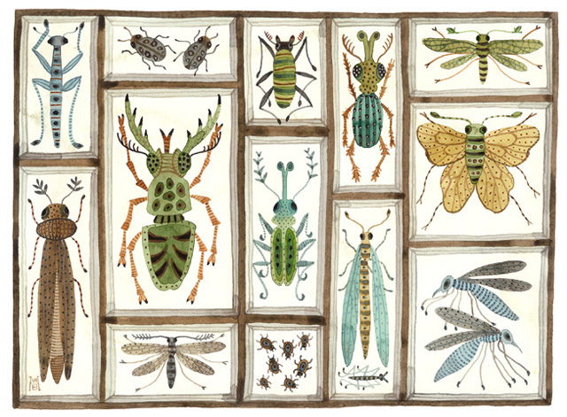 Animalarium: From the Field