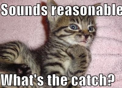 Everyday Idioms!!!: What's the catch?