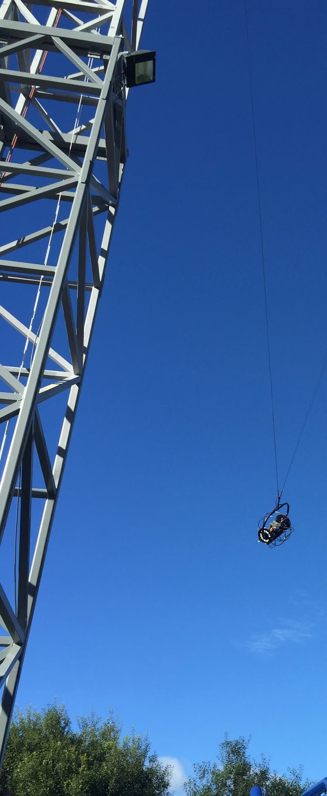 Tracey's Bucket List Adventures: The Skyswing Rotorua, New Zealand ...
