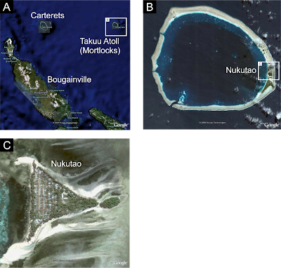 One Year Without Shoes: An Ethnographer's endeavours on a Polynesian ...