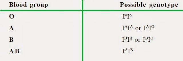 Biolearnspot: Multiple Allels-Human Blood Group
