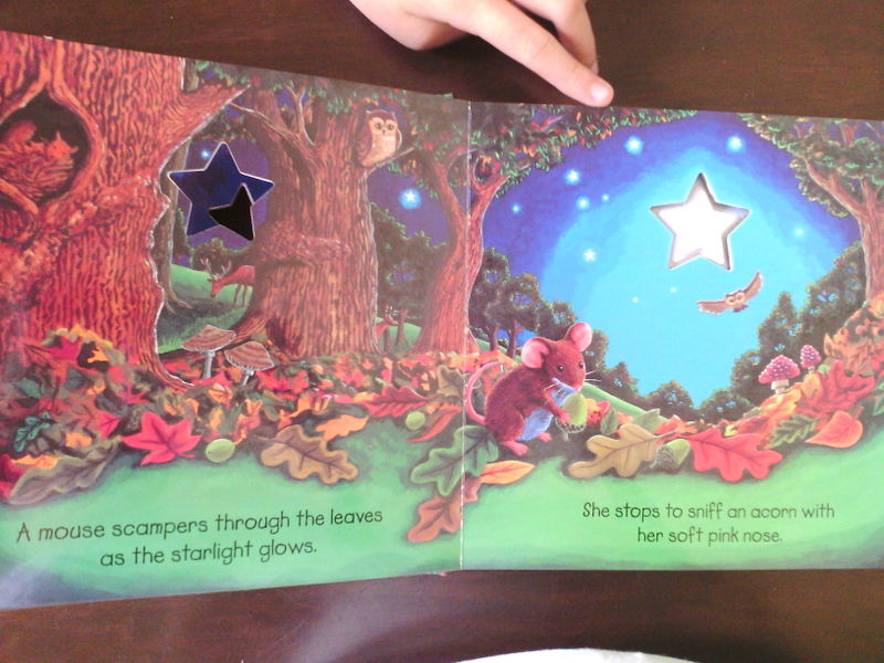 CHILDREN BOOKS FOR YOU: A Bright New Star- a star light colour changing ...