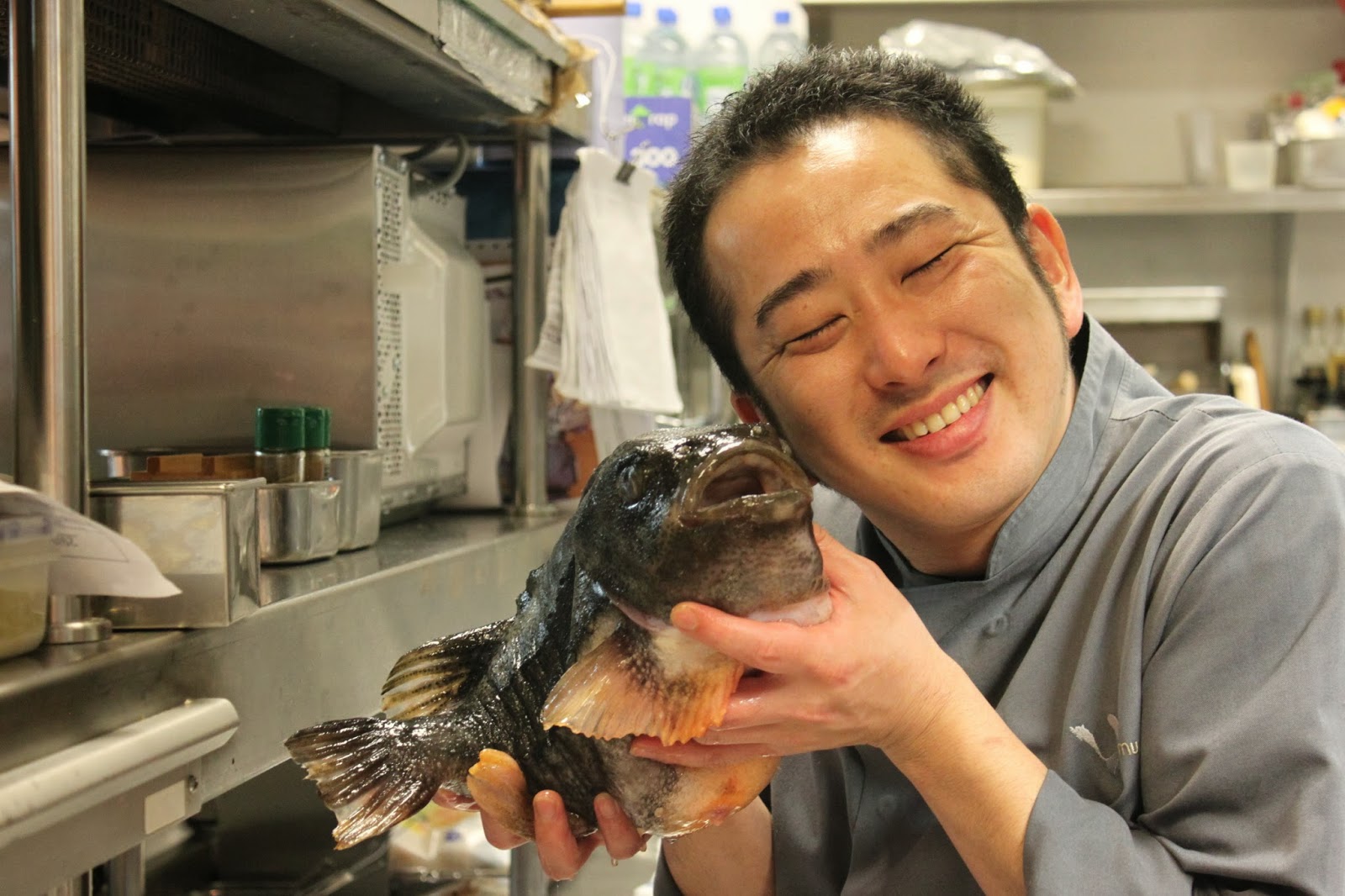 Tsure-T"sure **UMU London**: Fish Fish Fish! 北大西洋の魚たち