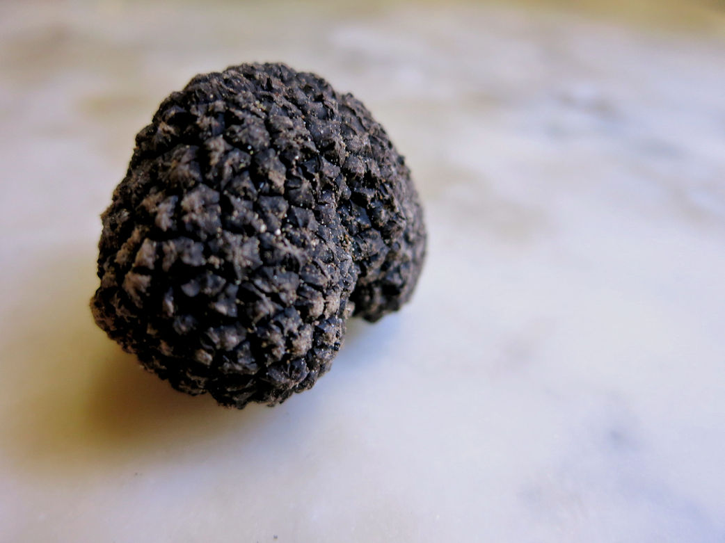 S.O.S. Grisbiche: Truismes