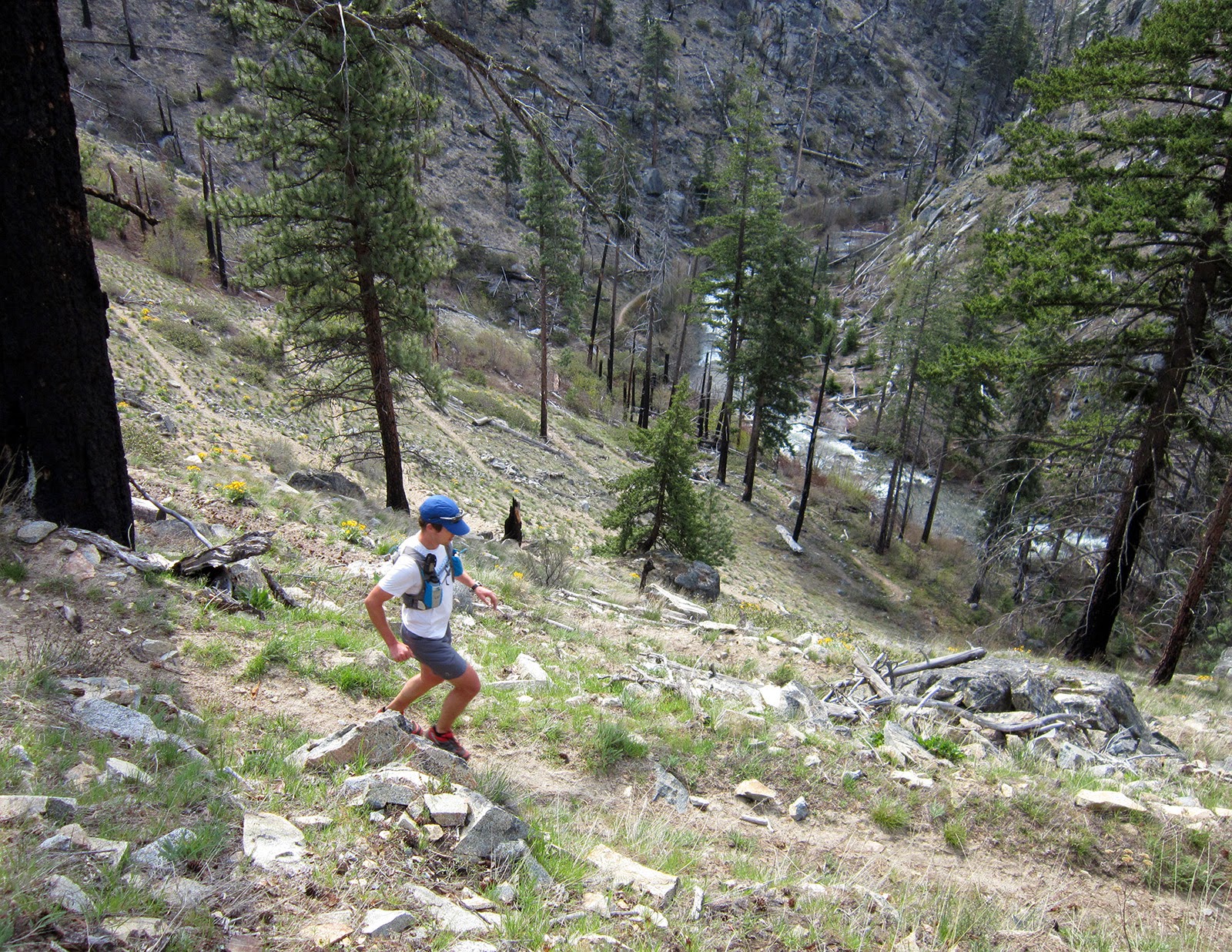 Seeking Ultra: Mad River-Sugarloaf Peak loop, southern Entiat Mountains