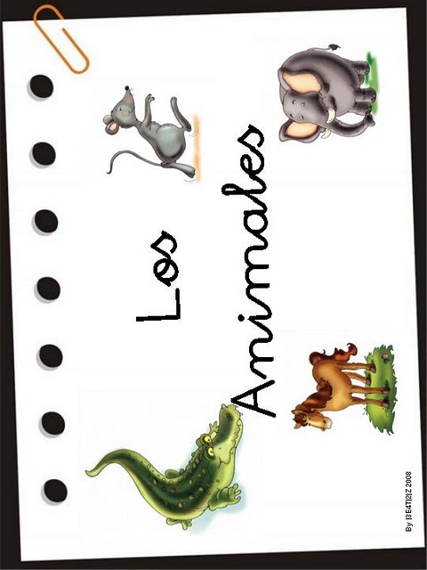 SGBlogosfera. María José Argüeso: FLASHCARDS: LOS ANIMALES