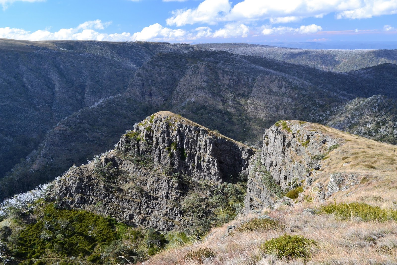 Goin' Feral One Day At A Time: Howitt & The High Country, Alpine ...