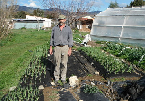 Get The Maximum Benefit In Limited Garden Space With French Intensive ...