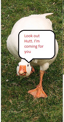 Falling Down the Death Stare: The Murder Goose Attacks