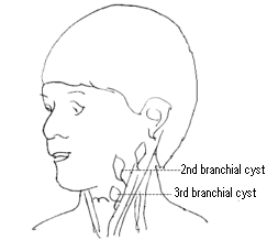 Email This BlogThis! Share to Twitter Share to Facebook