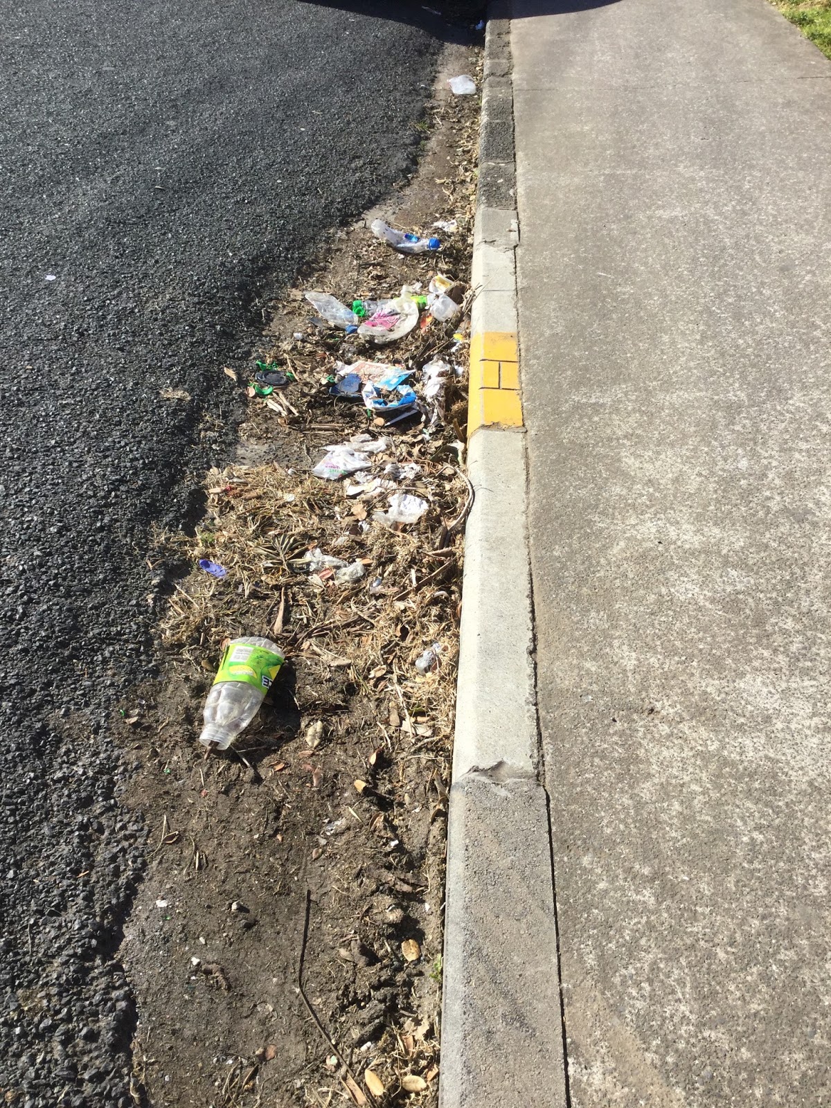 Kahu 2's Learning Journey: Persuasive Writing - Litter in our community