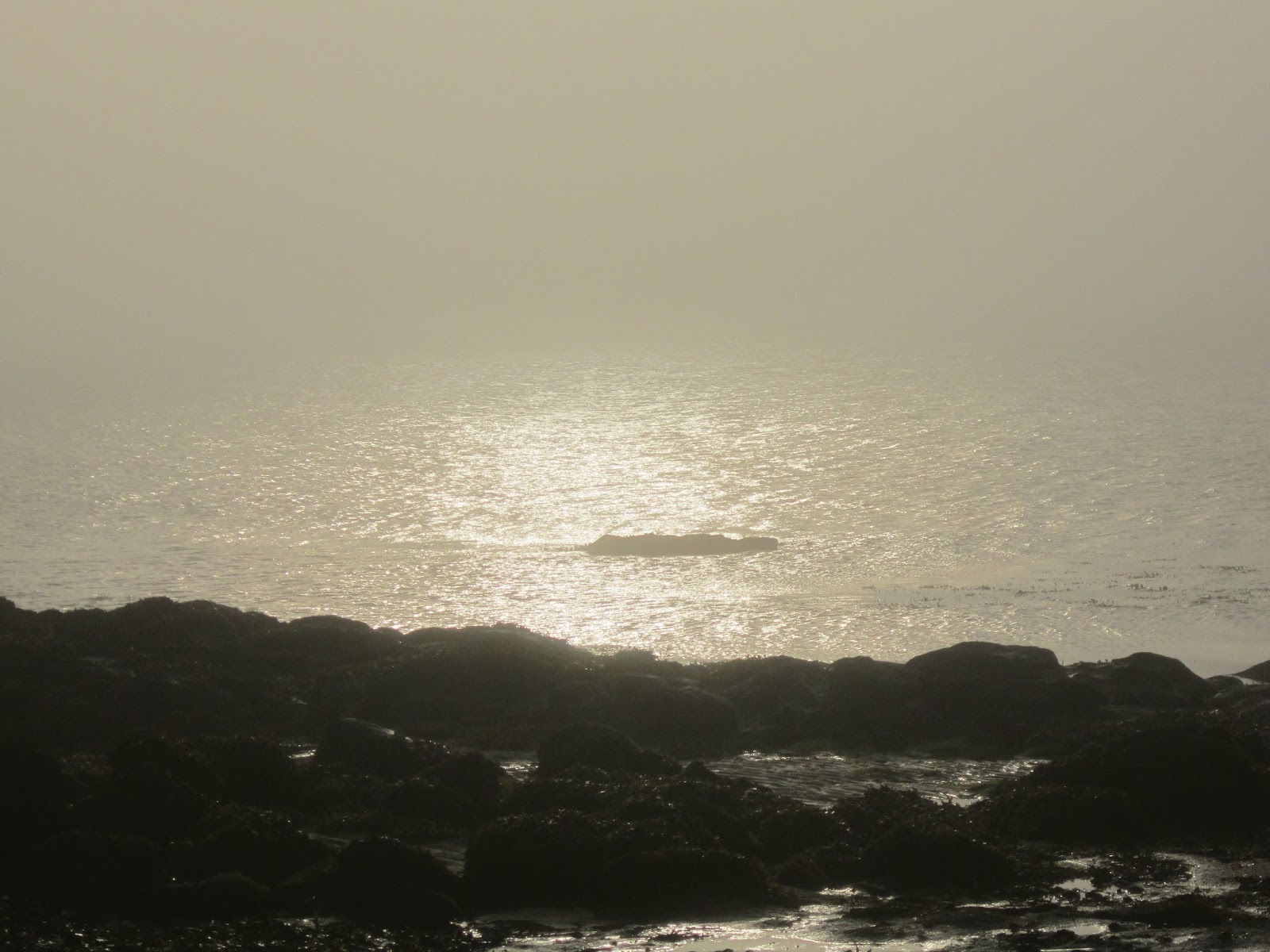 coastrider: Return of the Sea Haar