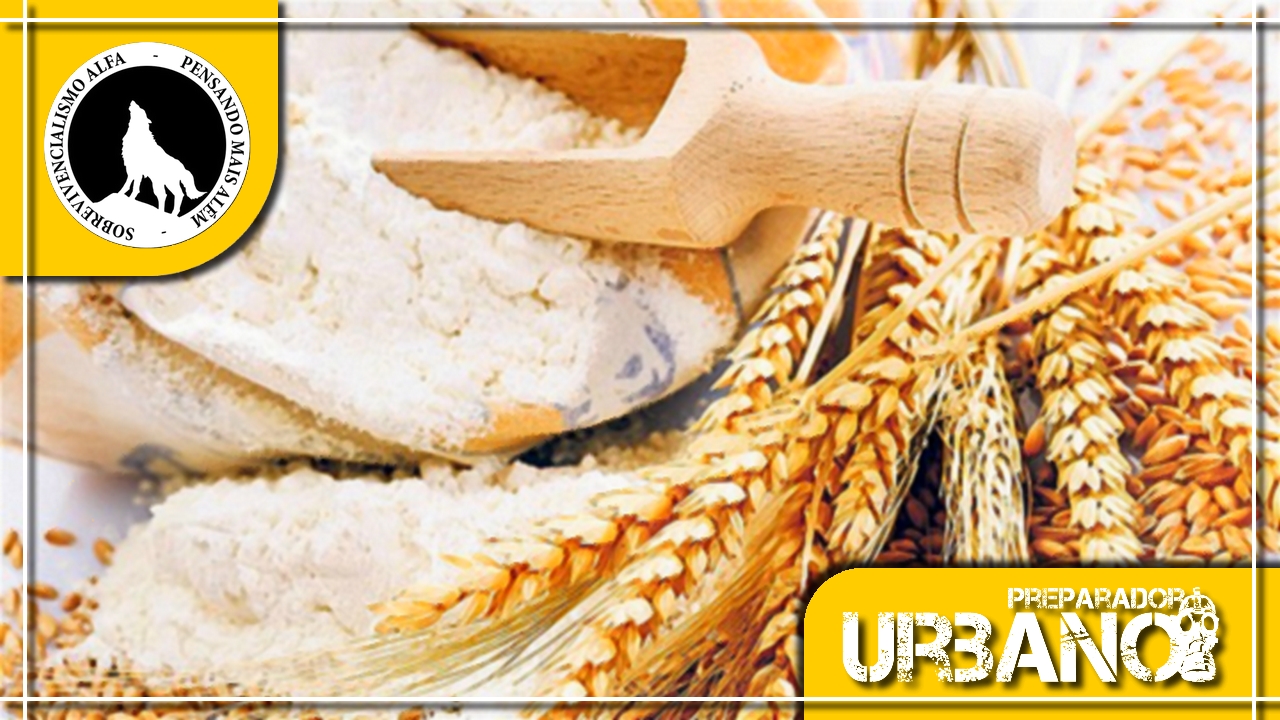 COMO ARMAZENAR FARINÁCEOS - PREPARADOR URBANO #7