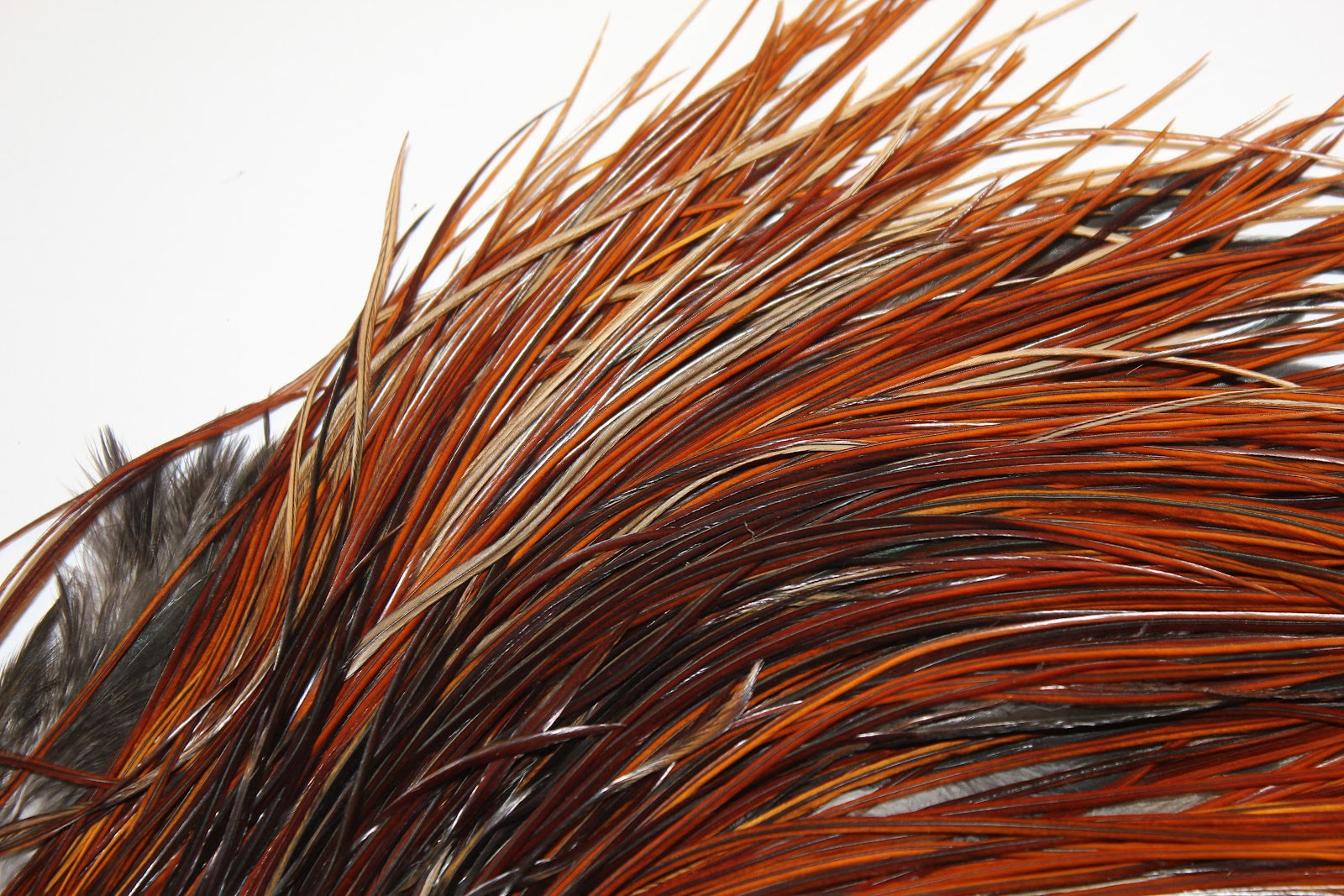 Fly Tying Videos: How to Tie Flies for Freshwater and Saltwater: How to ...