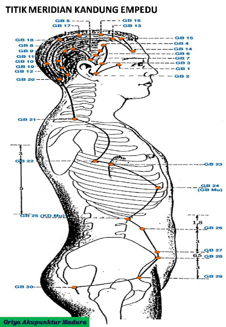 MAKLUMAT KESIHATAN DAN PENYAKIT: MERIDIAN AKUPUNTUR