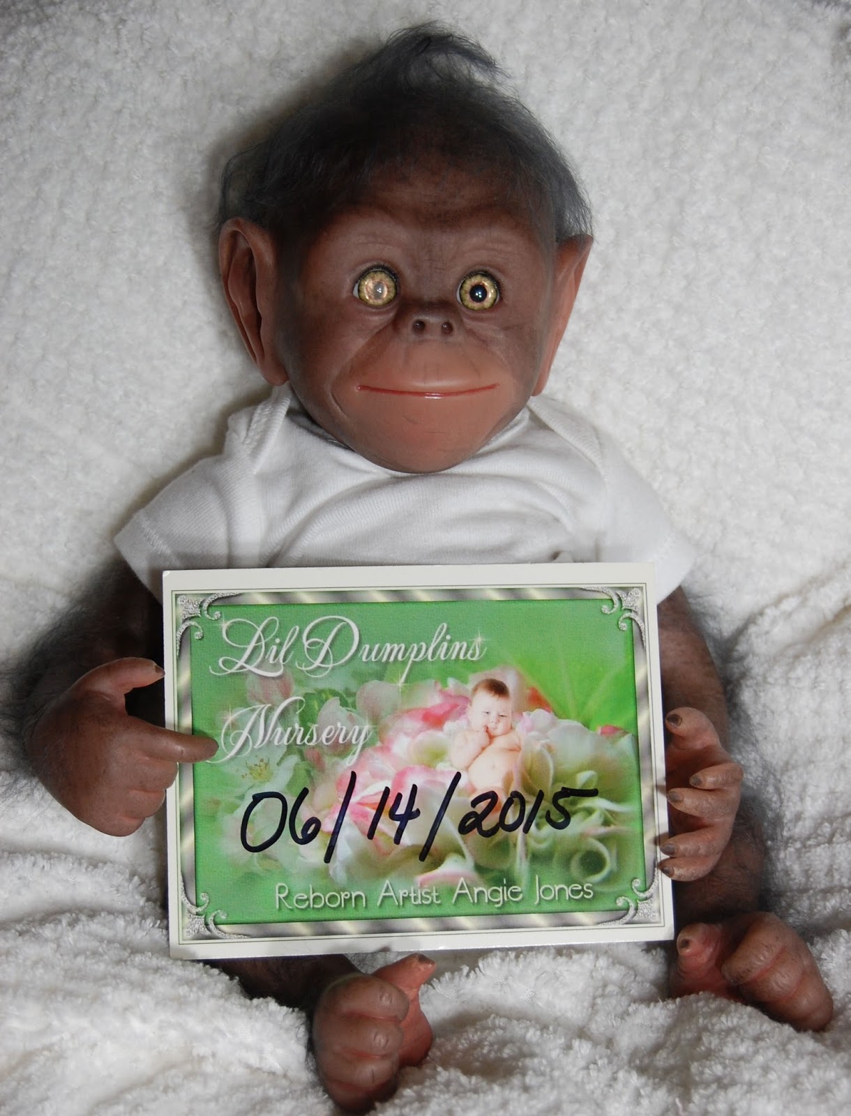 Welcome to my BLOG: 2015