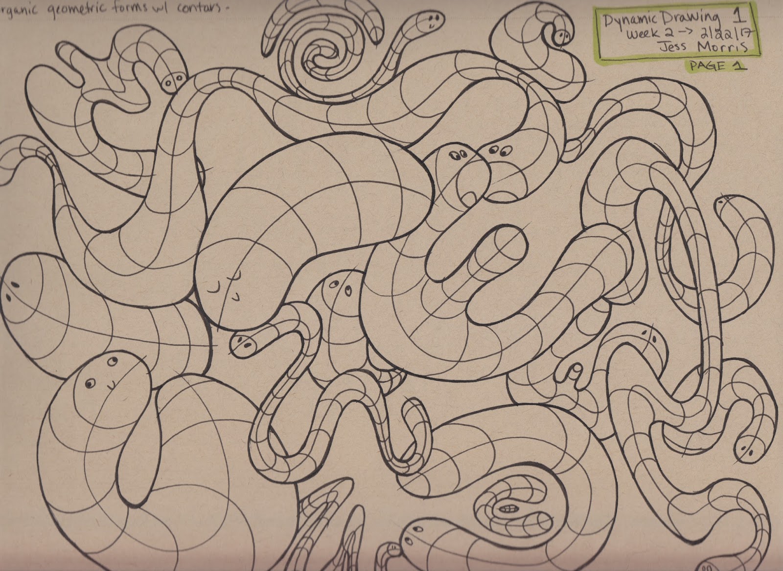 Jess Morris Animator: Class Review: Dynamic Sketching 1 with Peter Han ...