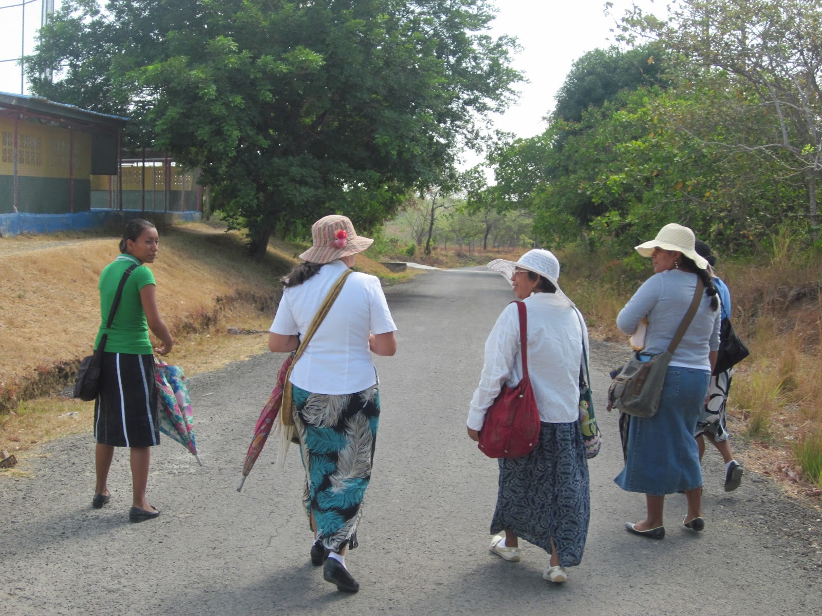 Leah's Adventures: Circuit Overseer and District Overseer Visit