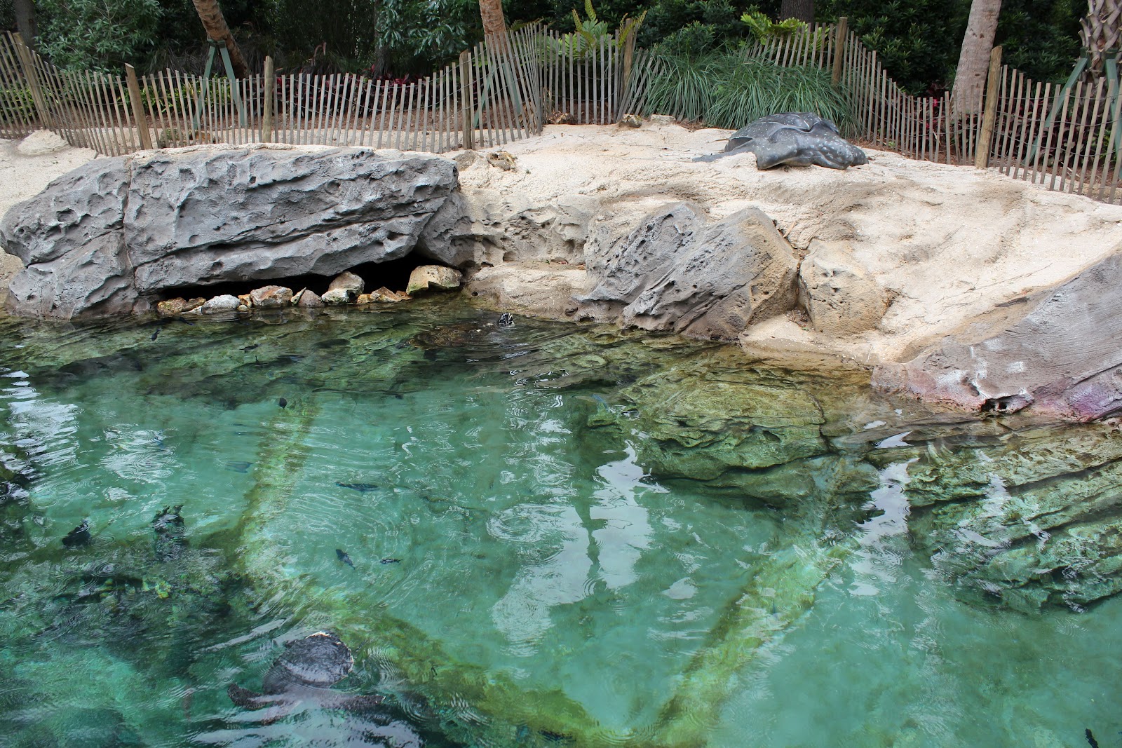 Pajama Penguin Productions: Review: Turtle Trek at SeaWorld Orlando