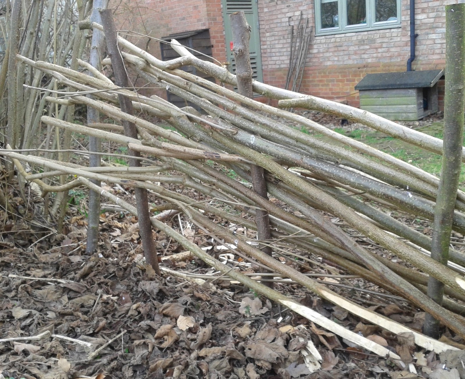 Preston Montford Field Centre: What is a hedge?