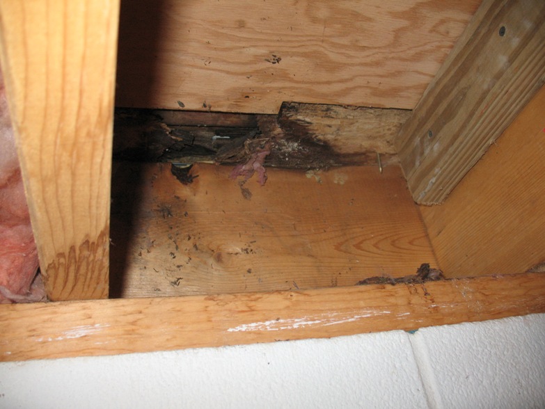 Prairie Energy Solutions: Insulation & Home Performance Contractor ...