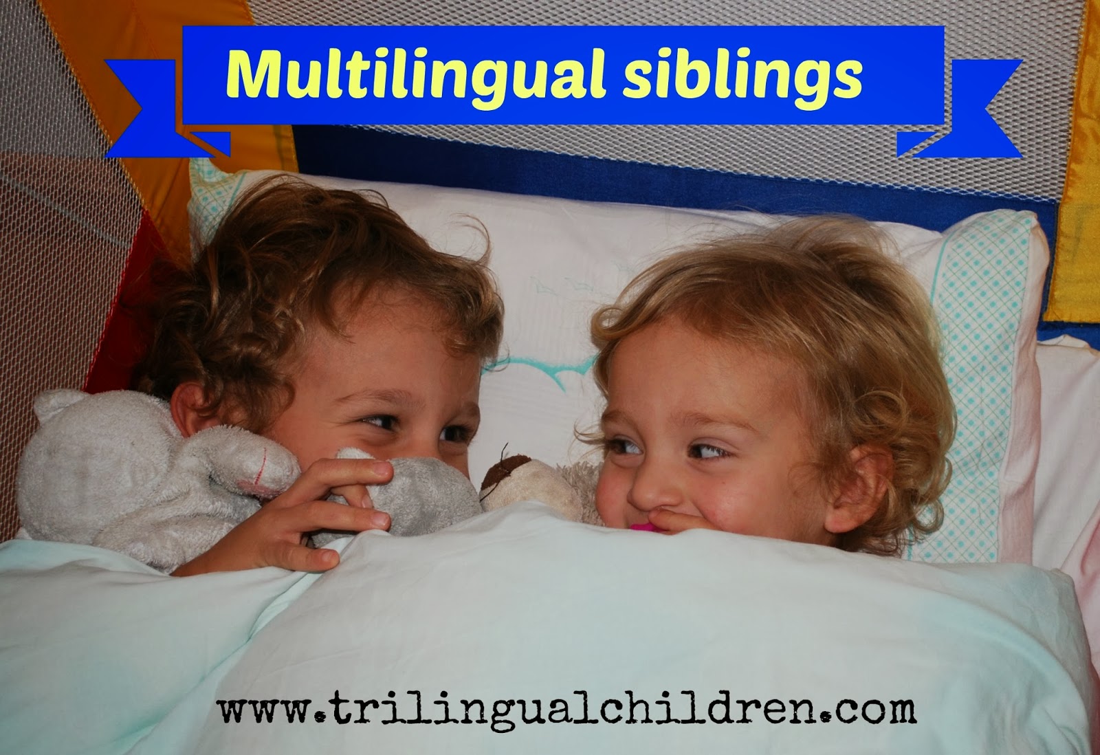 What language do multilingual siblings speak to each other?