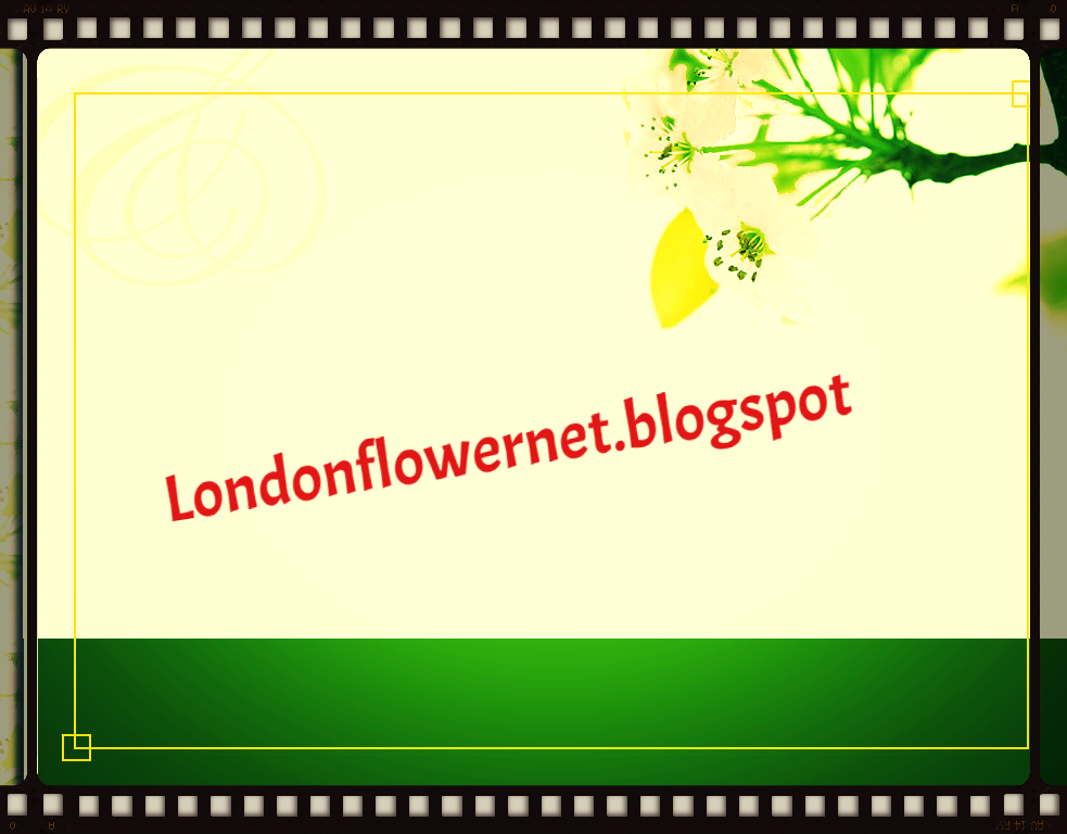 Importance Of Invitation Cards Wedding Flowers Ideas London Jobs importance-of-invitation-cards-wedding-flowers-ideas-london-jobs