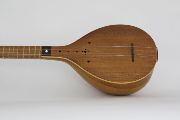 INSTRUMUNDO Instrumentos Musicales: Setar, Sehtar, Citar